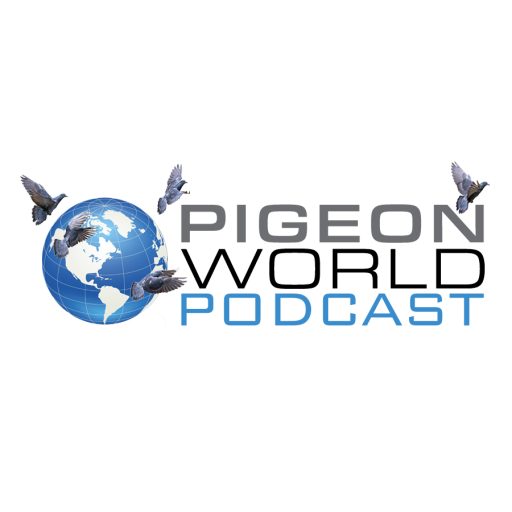 Pigeon World Podcast – Pigeon World Podcast features content from the ...